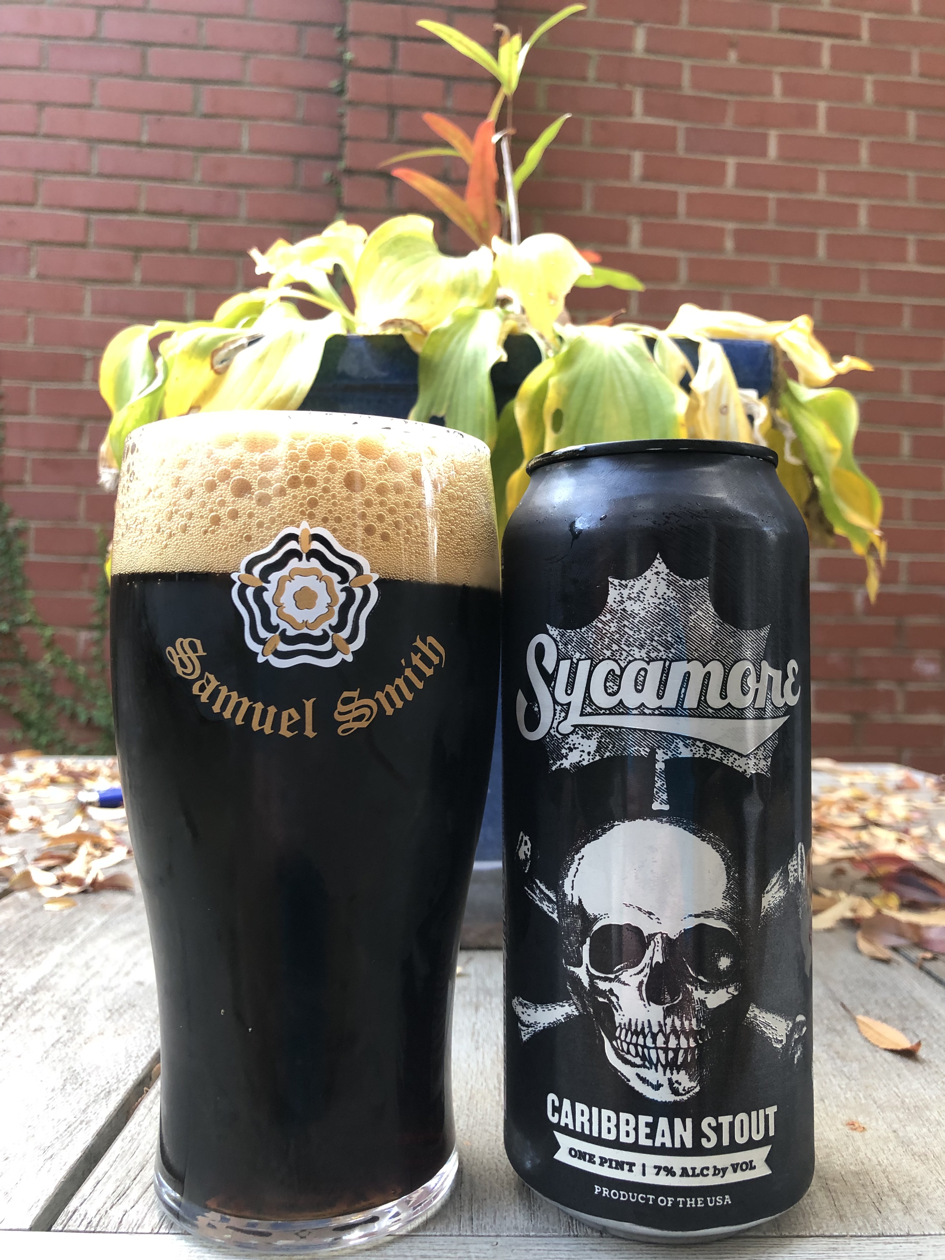 Sycamore Brewing Caribbean Stout – Best Beer Blog