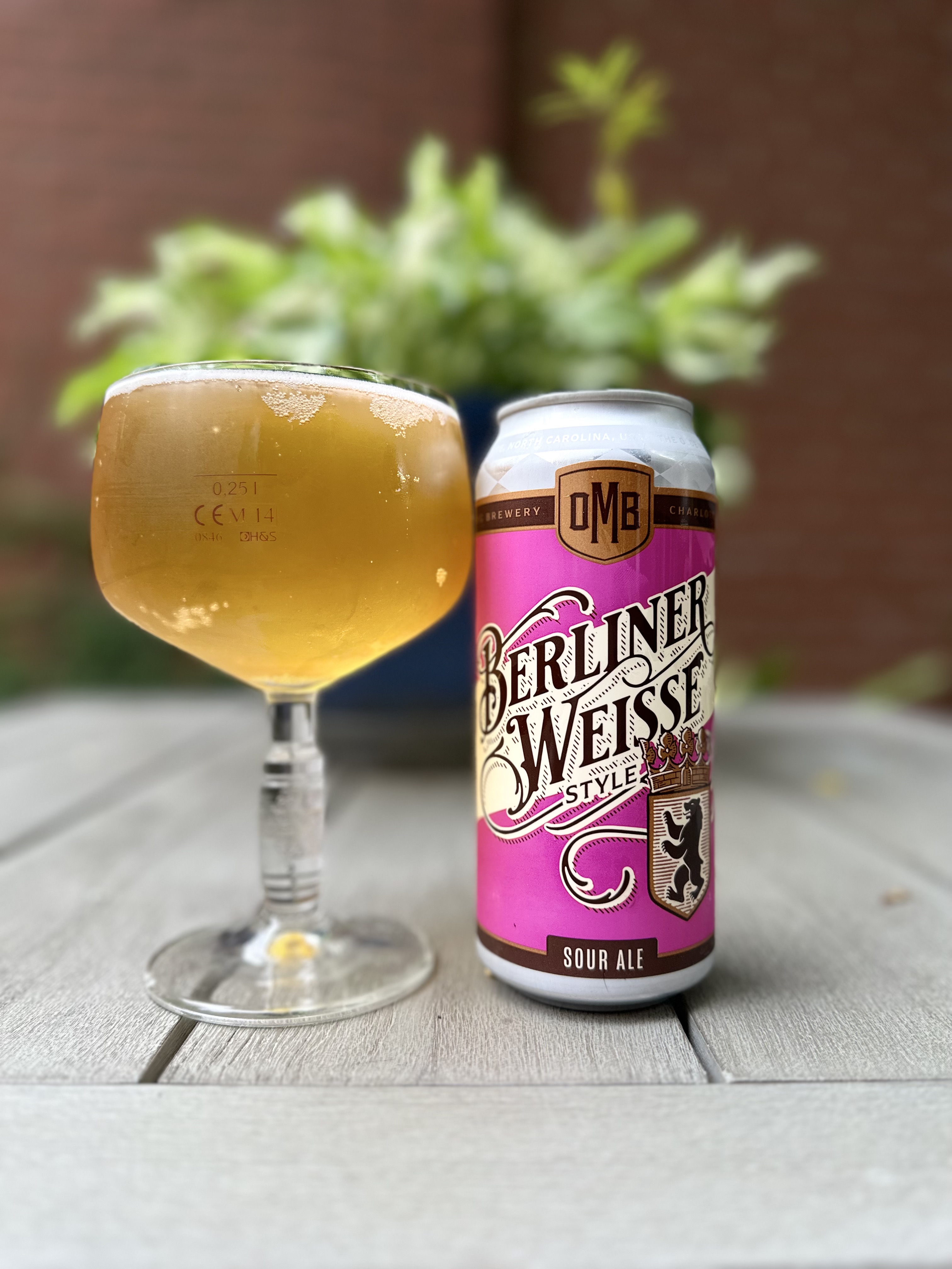 Olde Mecklenburg Brewery Berliner Weisse Style Sour Ale – Best Beer Blog