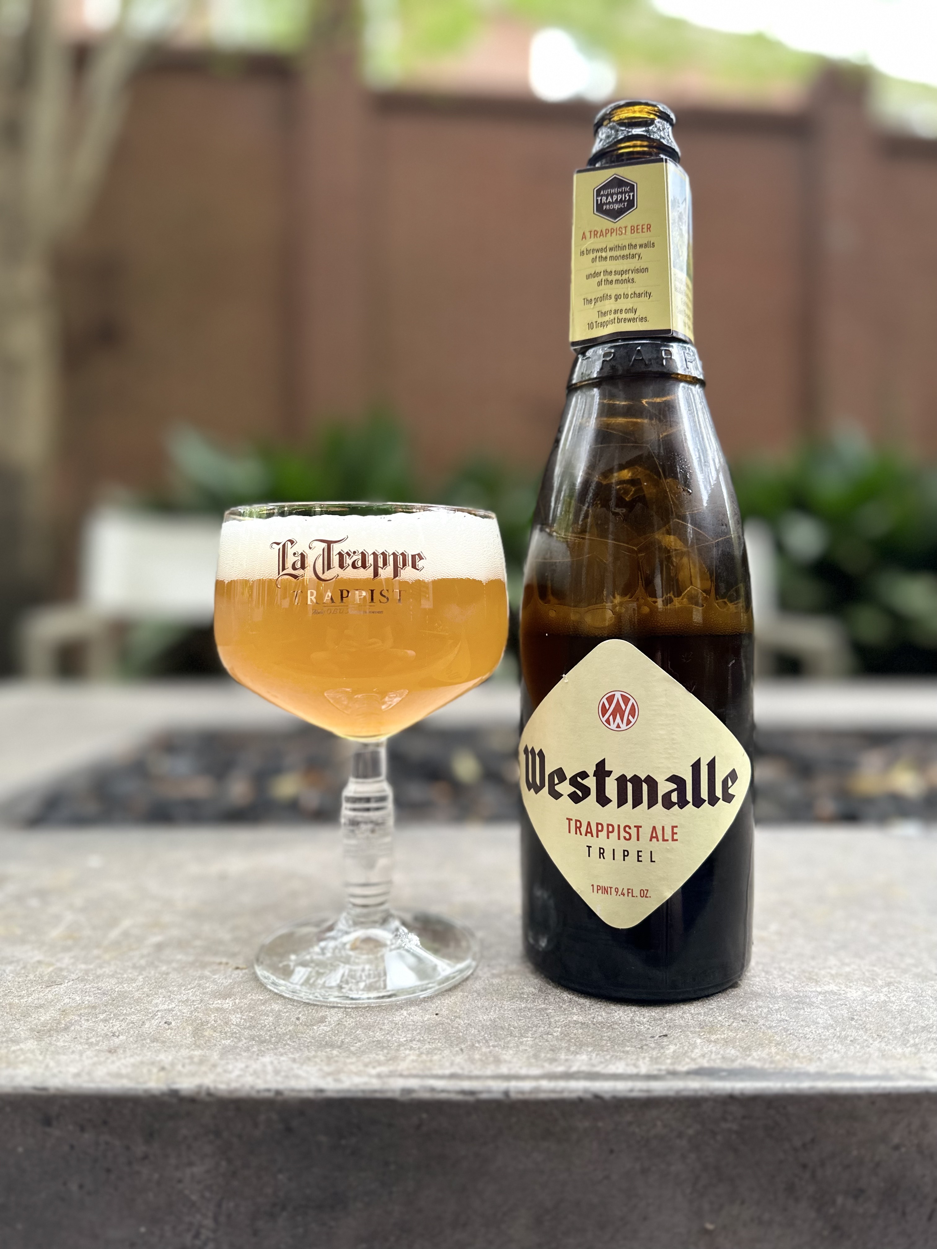 Westmalle Trappist Ale Tripel – Best Beer Blog