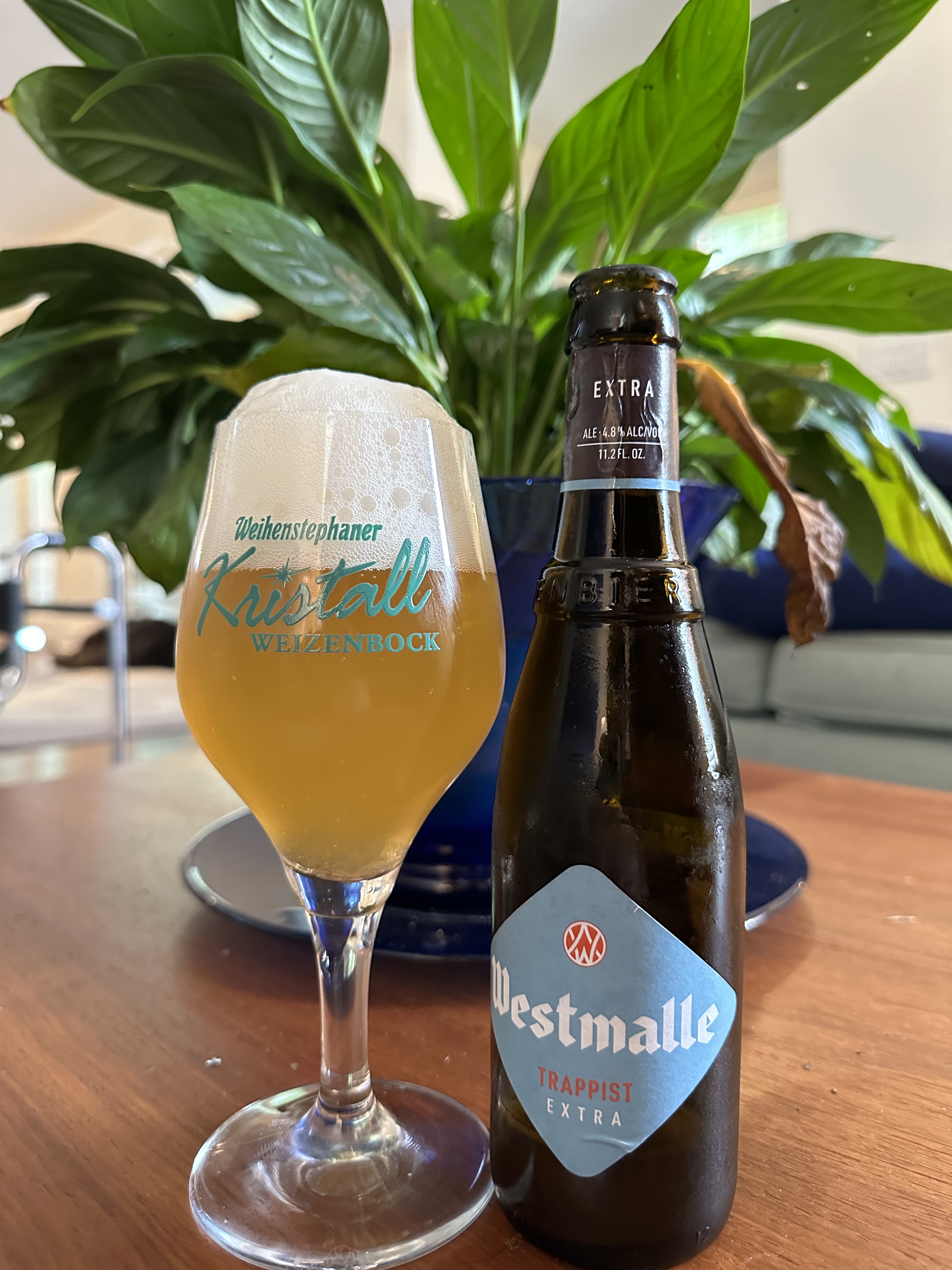 Trappist Westmalle Trappist Extra – Best Beer Blog