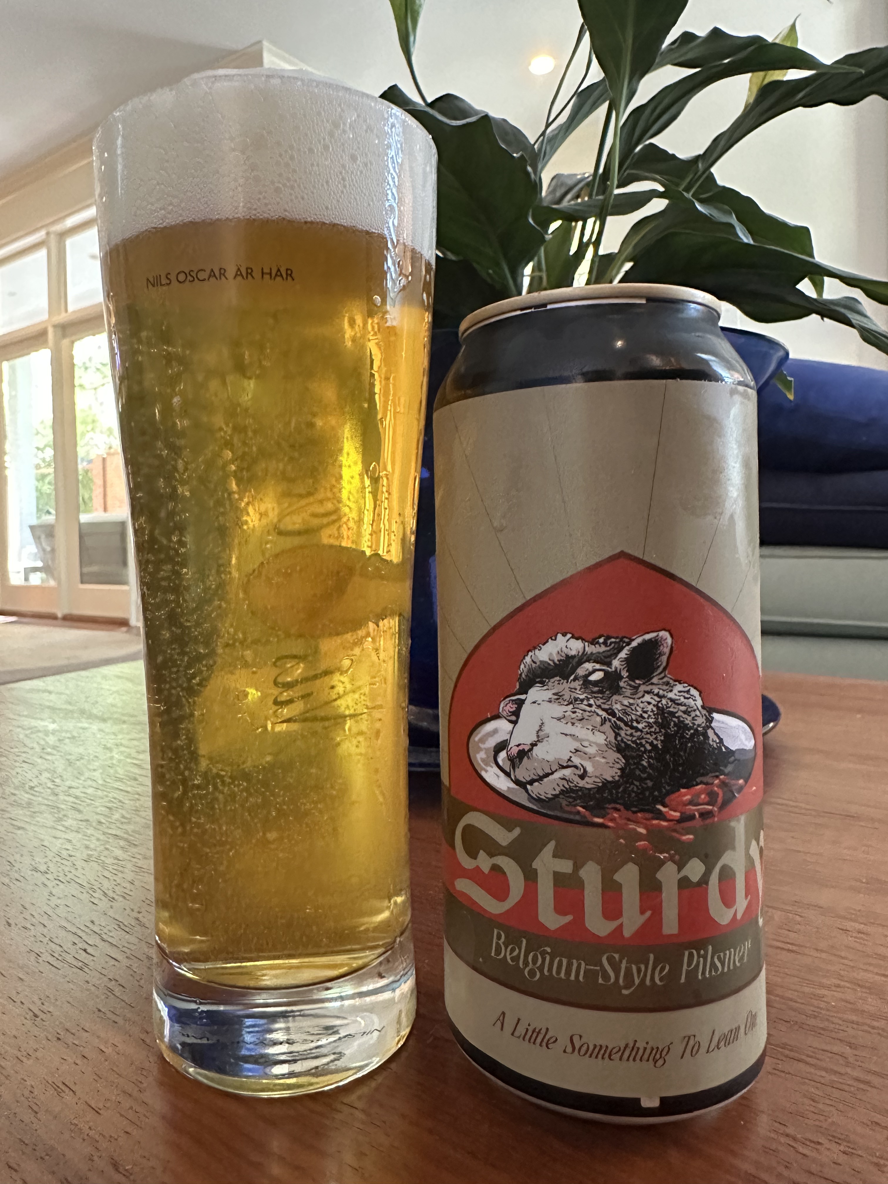Burial Beer X Halfway Crooks Beer Sturdy Belgian-Style Pilsner – Best ...